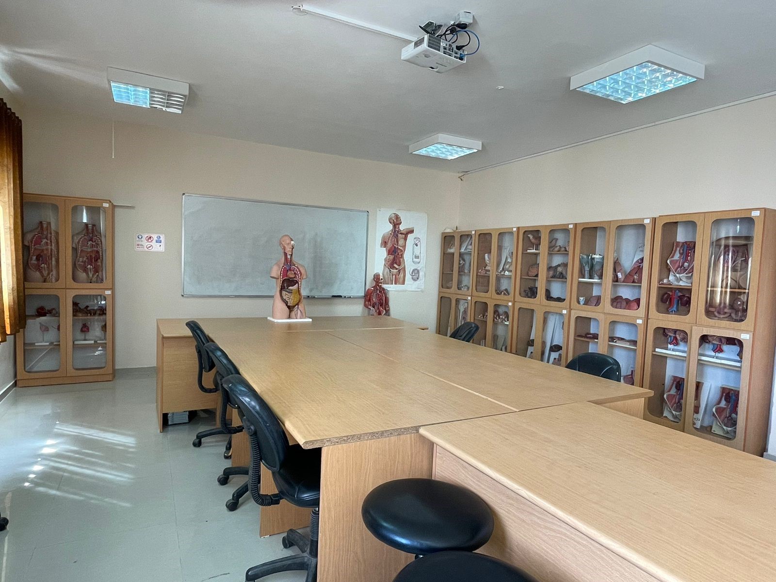 Anatomy Laboratory (4 Labs) | Arab American University