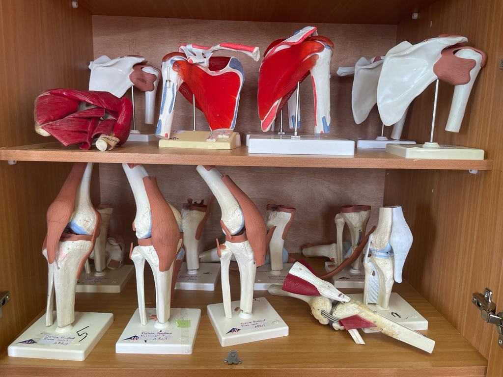 Anatomy Laboratory (4 Labs) | Arab American University